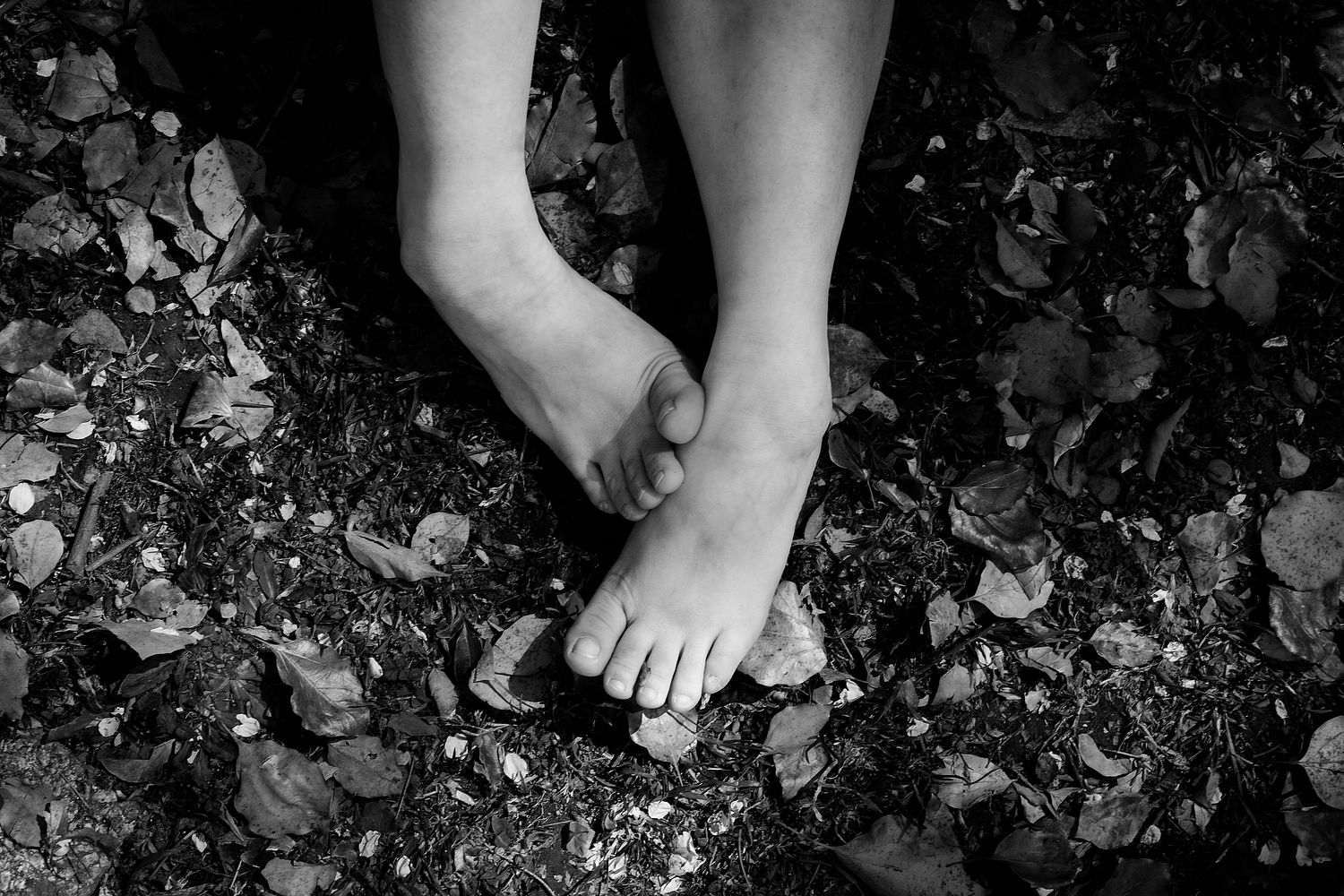 The photography of André van Rensburg