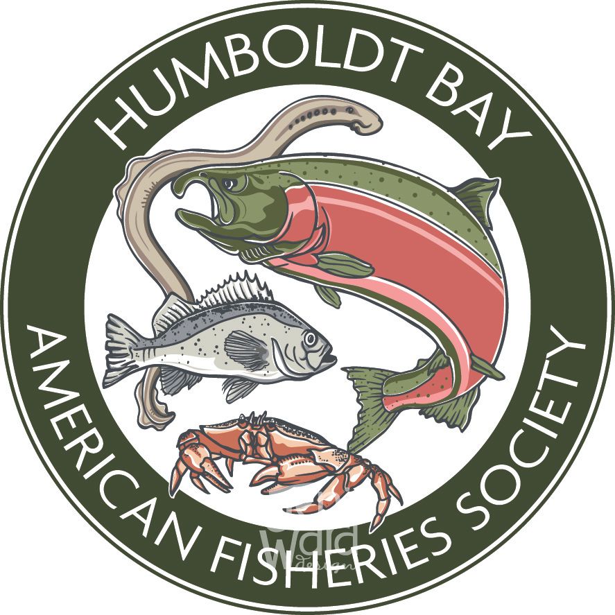 Logo Design | Jeni Ward Design