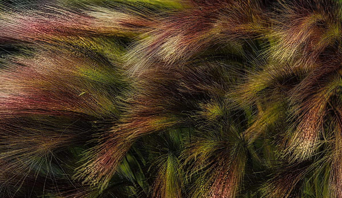 SHOEnique Photos - James Shoemaker Photography Abstracts