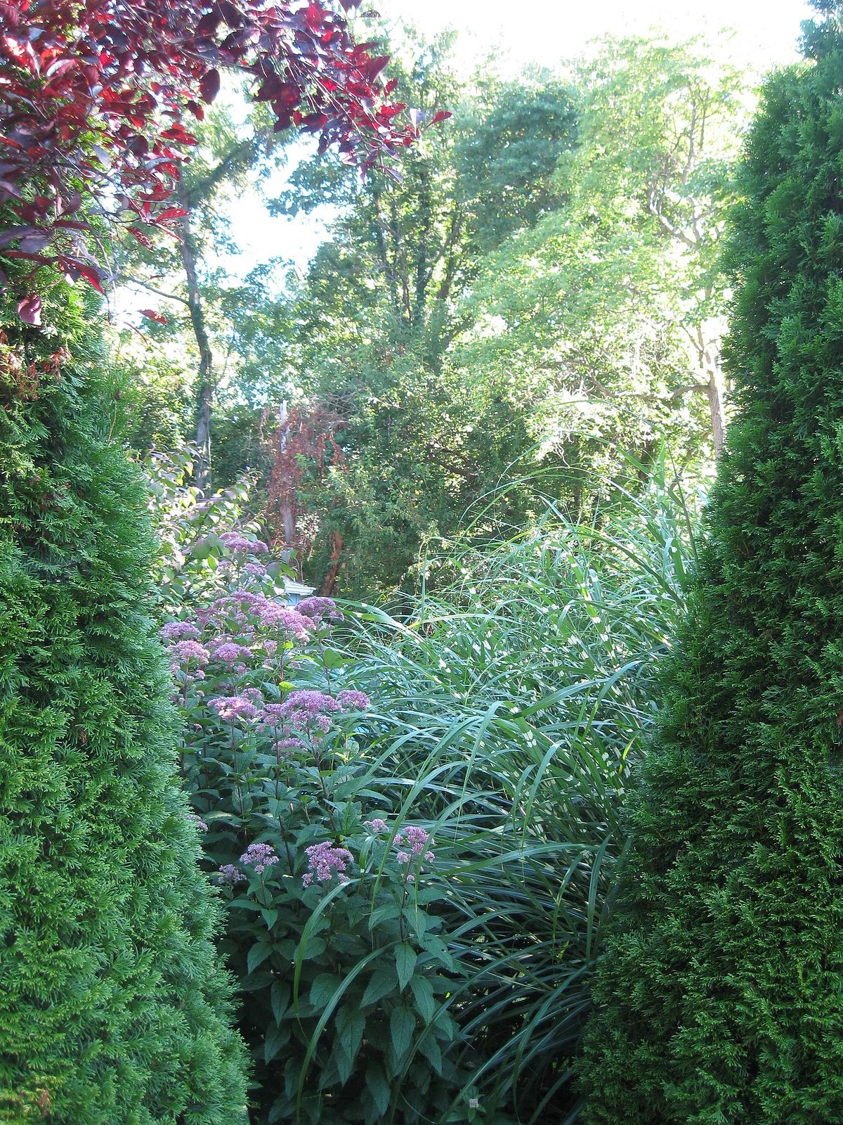 NATURE | Skillfully Curled Photography