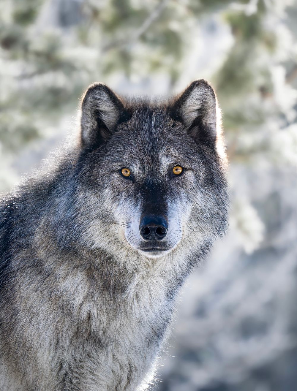 Portfolio | Candace Dyar Photography