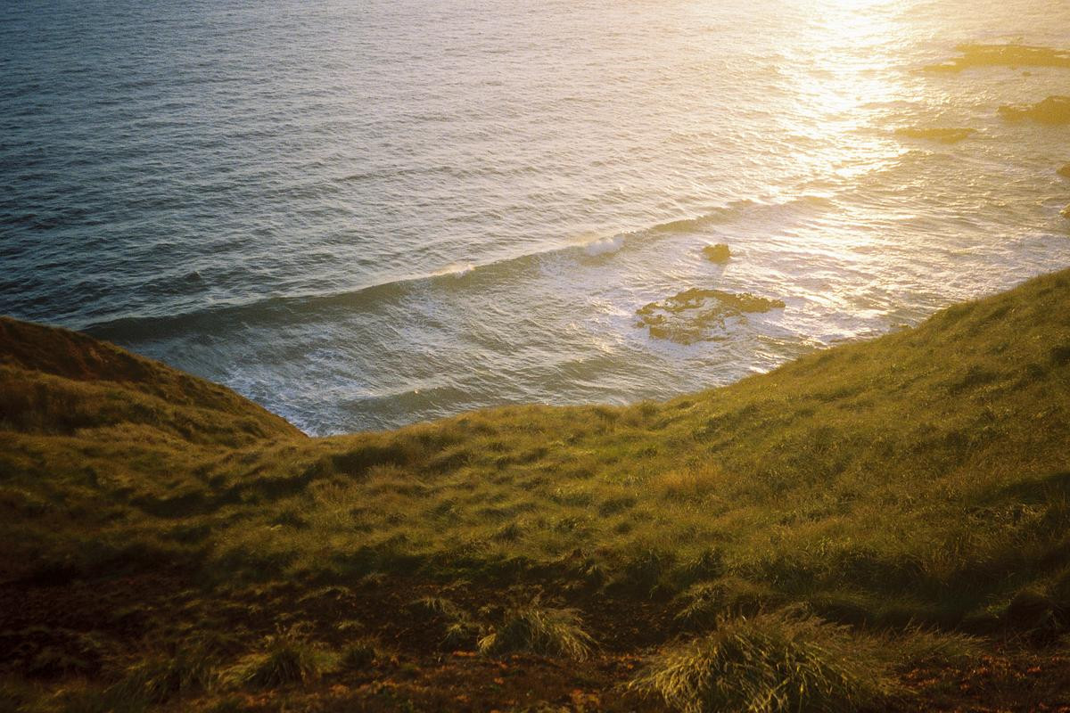Contax Tvs Review